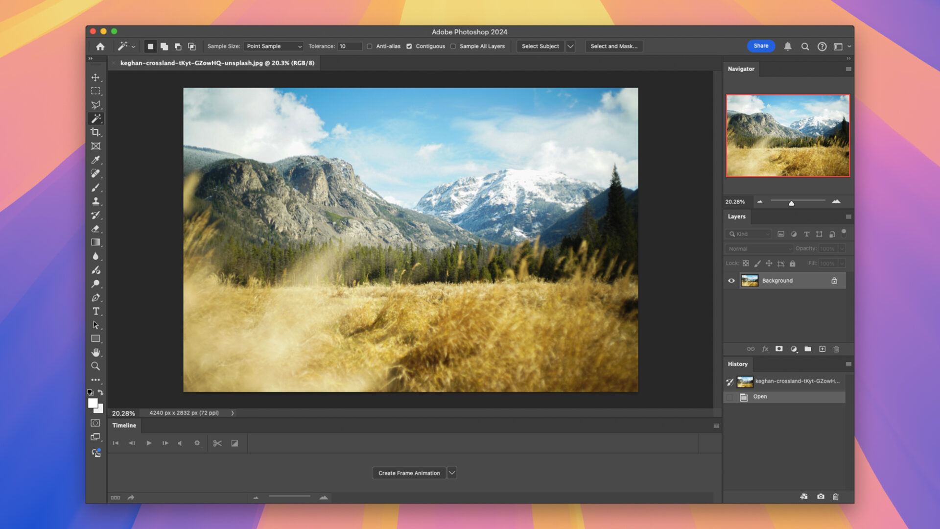 The Key Differences Between Photoshop and Photoshop Elements 2025 ...